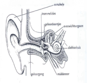 Hoorapparaat - ZorgSaam